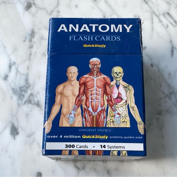 Quick Study | Other | Quick Study Anatomy Flash Cards 30 Cards | Poshmark